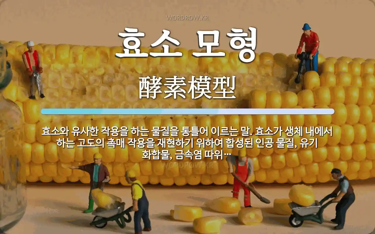 효소 모형 뜻 효소와 유사한 작용을 하는 물질을 통틀어 이르는 말 효소가 생체 내에서 하는 고도의 촉매
