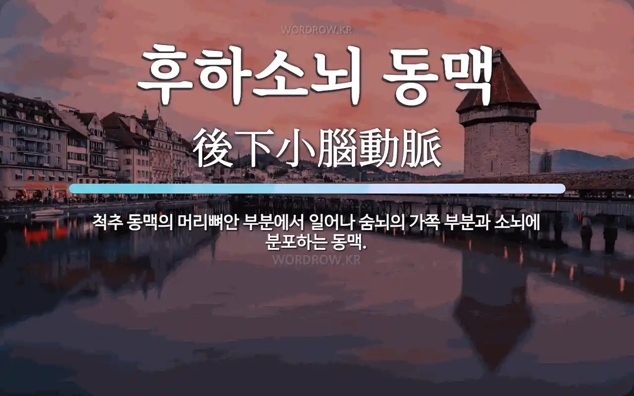 후하소뇌 동맥 뜻 척추 동맥의 머리뼈안 부분에서 일어나 숨뇌의 가쪽 부분과 소뇌에 분포하는 동맥