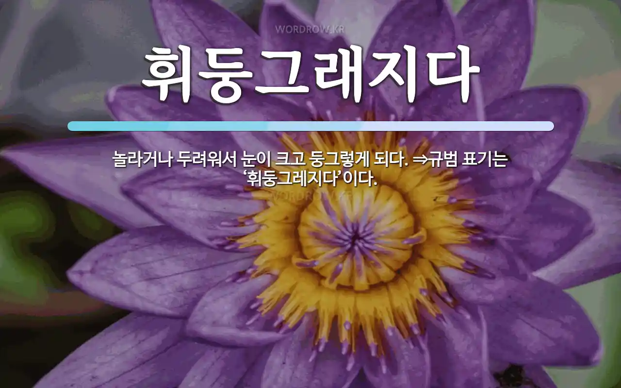 휘둥그래지다 뜻 놀라거나 두려워서 눈이 크고 둥그렇게 되다 ⇒규범 표기는 ‘휘둥그레지다이다