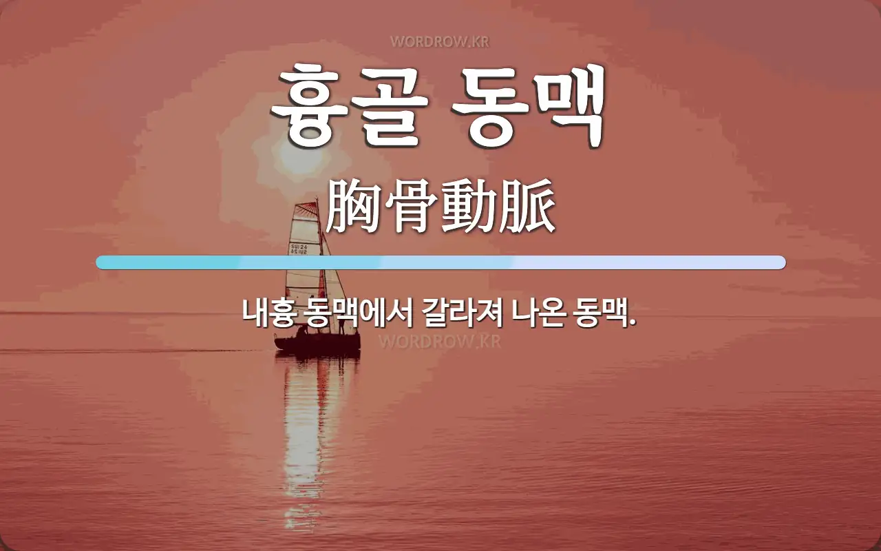 흉골 동맥 뜻 내흉 동맥에서 갈라져 나온 동맥