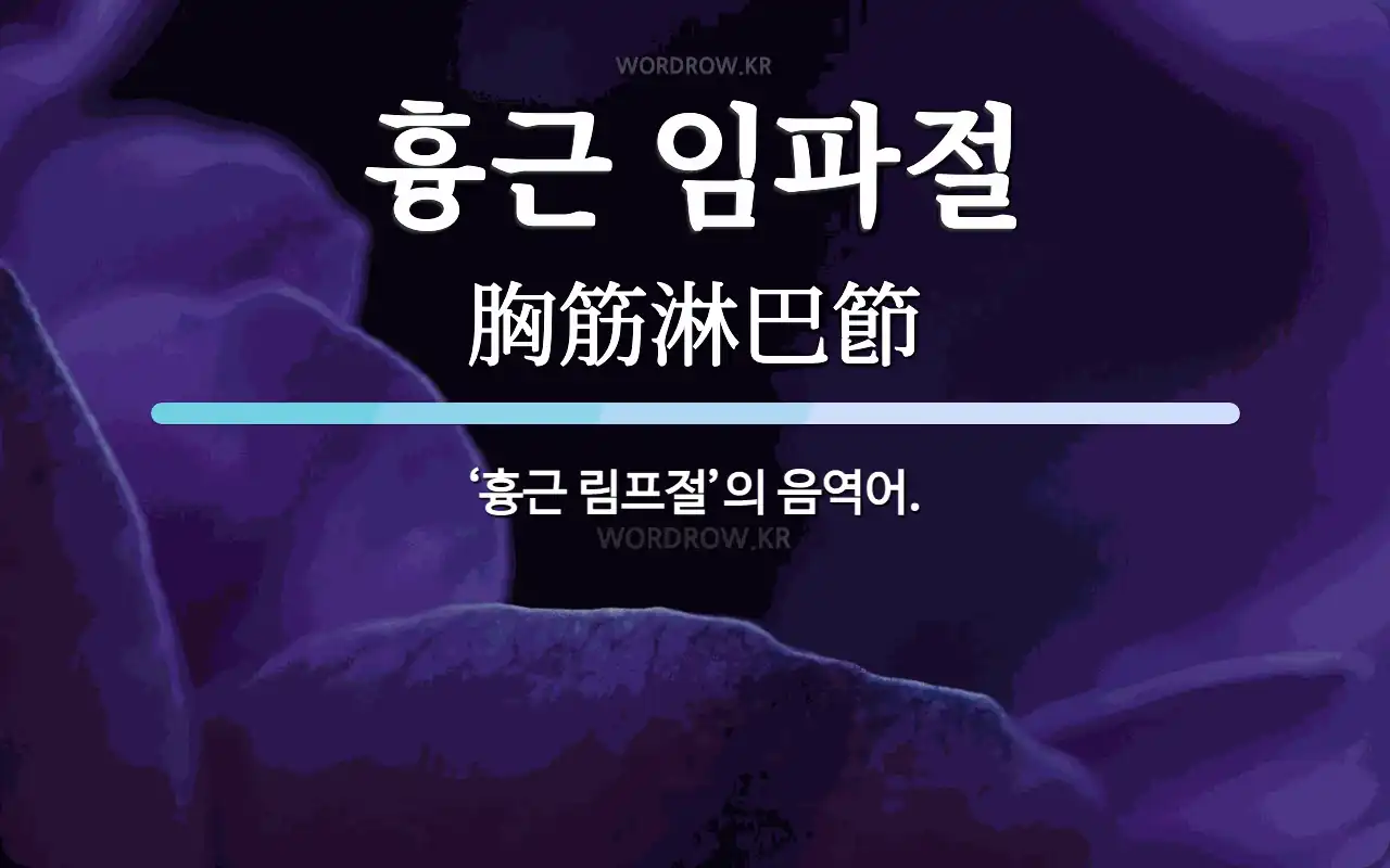 흉근 임파절 뜻 ‘흉근 림프절의 음역어