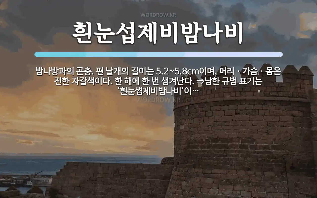 흰눈섭제비밤나비 뜻 밤나방과의 곤충 편 날개의 길이는 52~58cm이며 머리ㆍ가슴ㆍ몸은 진한 자갈색이다