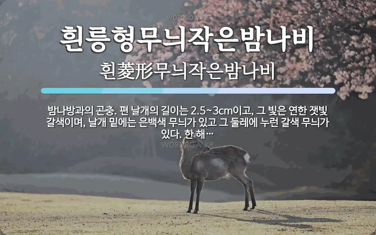 흰릉형무늬작은밤나비 뜻 밤나방과의 곤충 편 날개의 길이는 25~3cm이고 그 빛은 연한 잿빛 갈색이며 날개
