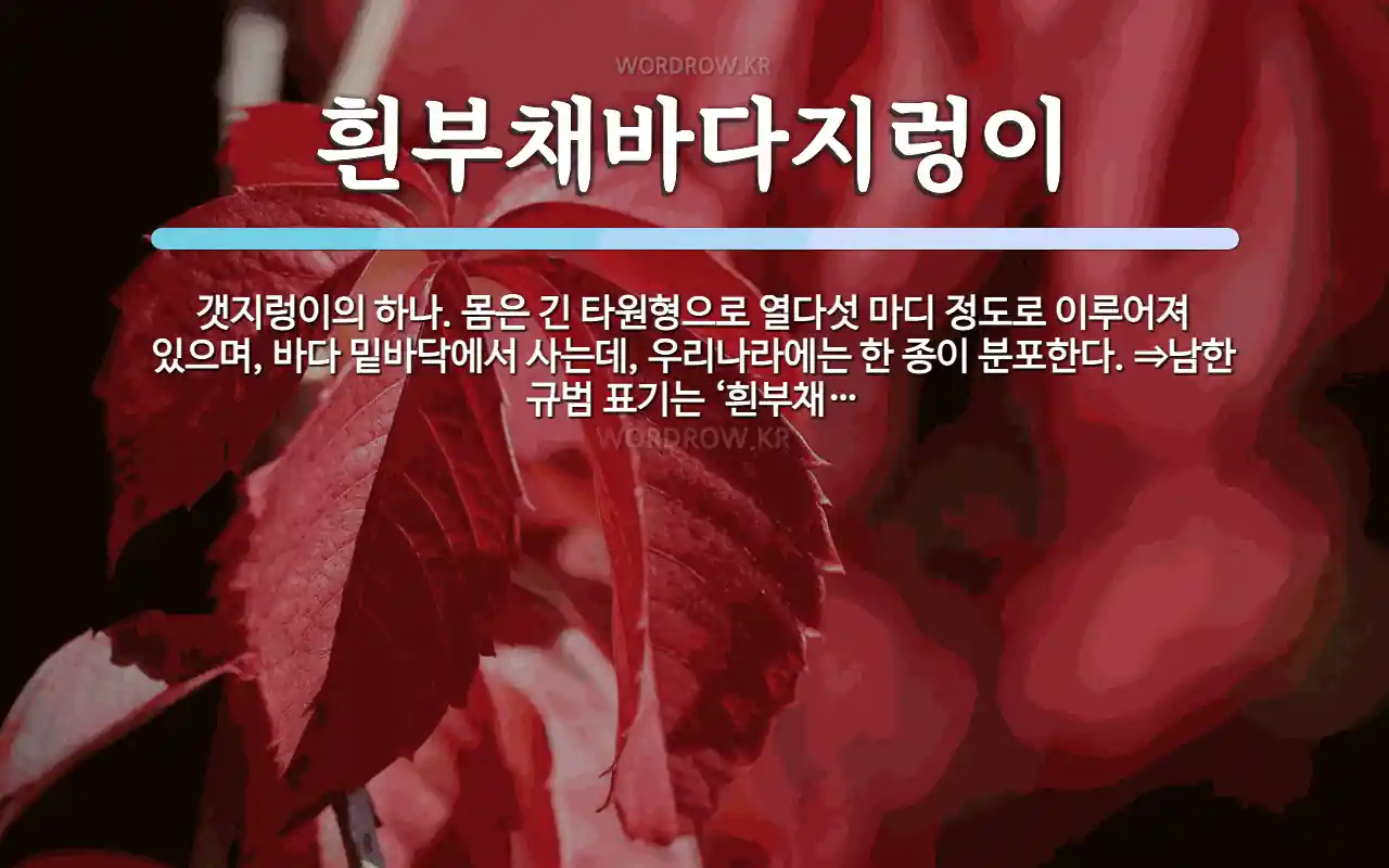 흰부채바다지렁이 뜻 갯지렁이의 하나 몸은 긴 타원형으로 열다섯 마디 정도로 이루어져 있으며 바다 밑바닥에서