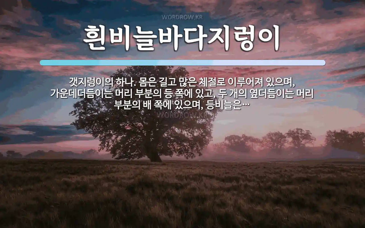 흰비늘바다지렁이 뜻 갯지렁이의 하나 몸은 길고 많은 체절로 이루어져 있으며 가운데더듬이는 머리 부분의 등