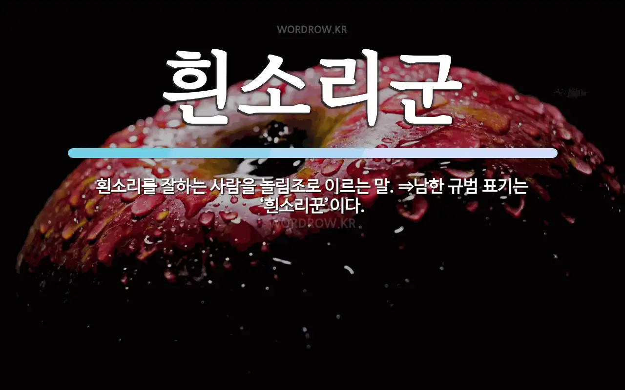 흰소리군 뜻 흰소리를 잘하는 사람을 놀림조로 이르는 말 ⇒남한 규범 표기는 ‘흰소리꾼이다