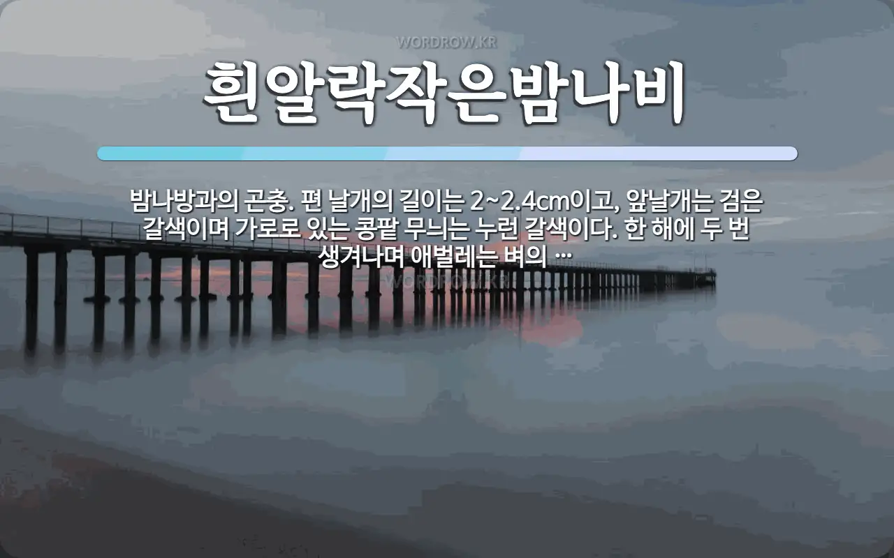 흰알락작은밤나비 뜻 밤나방과의 곤충 편 날개의 길이는 2~24cm이고 앞날개는 검은 갈색이며 가로로 있는