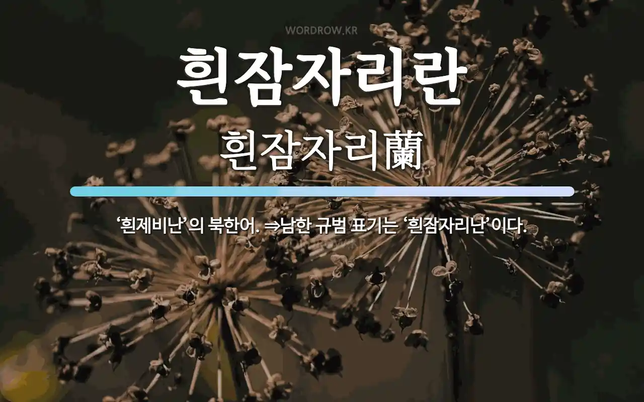 흰잠자리란 뜻 ‘흰제비난의 북한어 ⇒남한 규범 표기는 ‘흰잠자리난이다