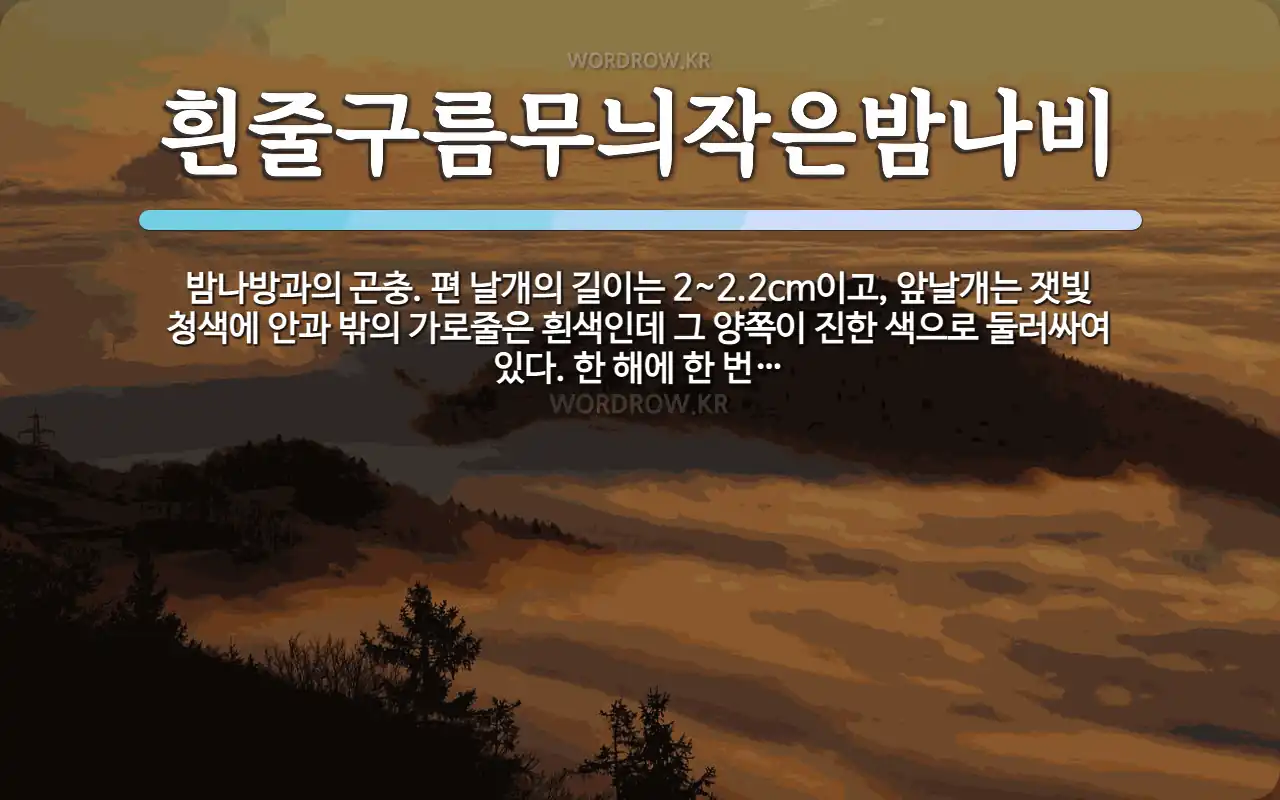 흰줄구름무늬작은밤나비 뜻 밤나방과의 곤충 편 날개의 길이는 2~22cm이고 앞날개는 잿빛 청색에 안과 밖의 가