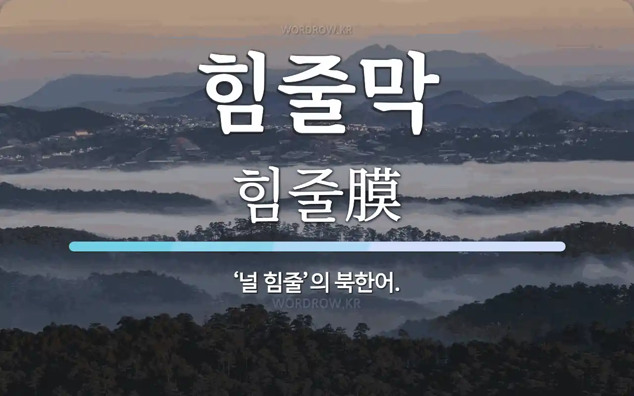 힘줄막 뜻 ‘널 힘줄의 북한어