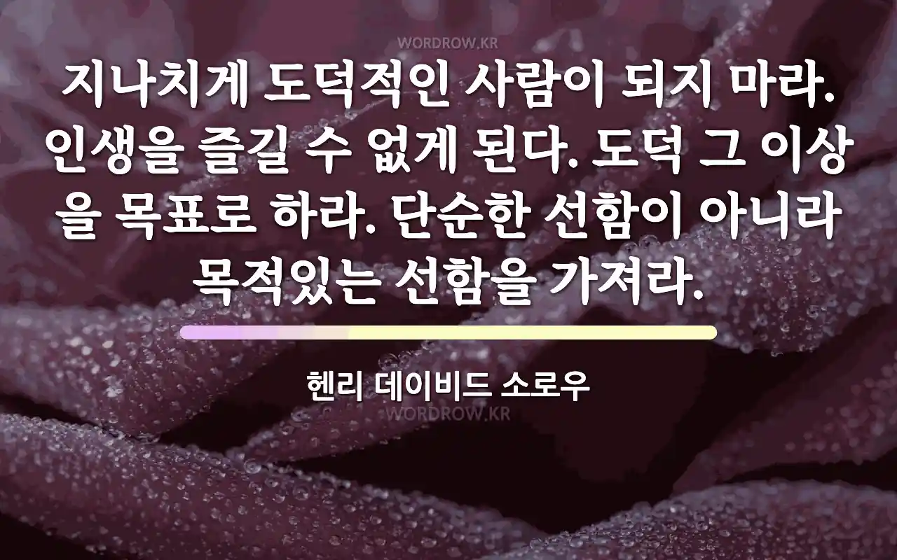 지나치게 도덕적인 사람이 되지 마라 인생을 즐길 수 없게 된다 도덕 그 이상을 목표로 하라 단순한 선함이 아니라 목적있는 선함을 가져라 헨리 데이비드 소로우