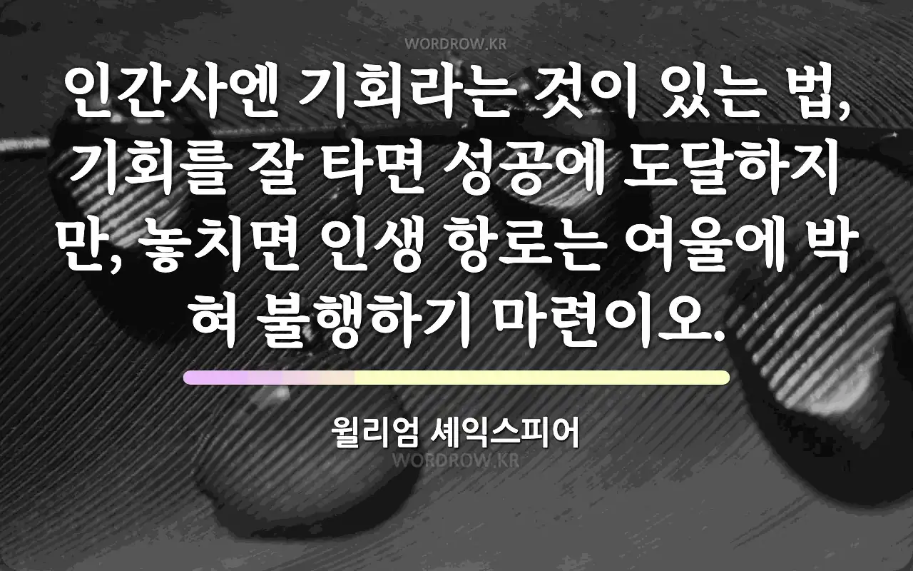 인간사엔 기회라는 것이 있는 법 기회를 잘 타면 성공에 도달하지만 놓치면 인생 항로는 여울에 박혀 불행하기 마련이오 윌리엄 셰익스피어의 명언